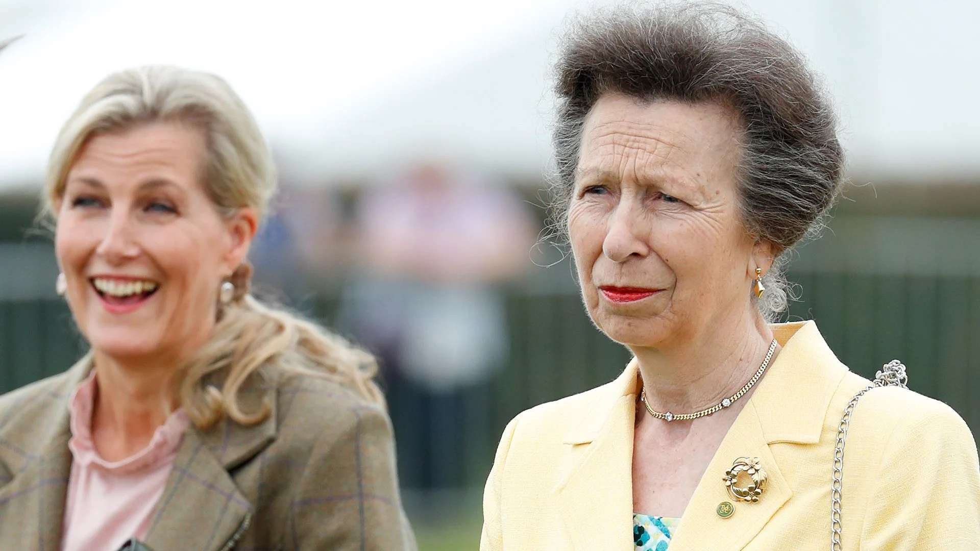 Princess Anne's disdainful glare toward the Duchess, who is about to be ...